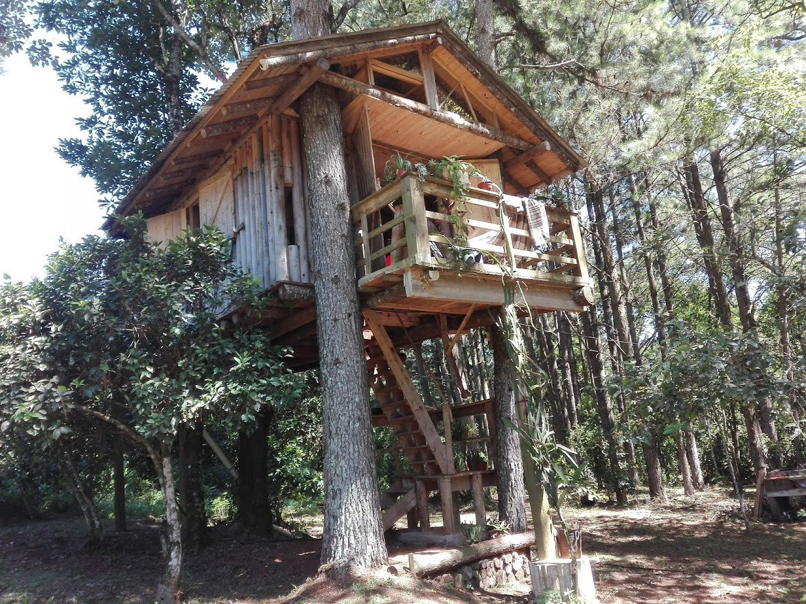 Dónde encontrar las mejores casas del árbol para niños en Argentina